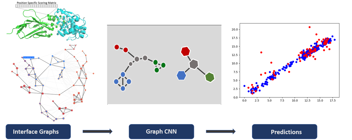 Machine Learning for Protein-Protein Interactions | Academic